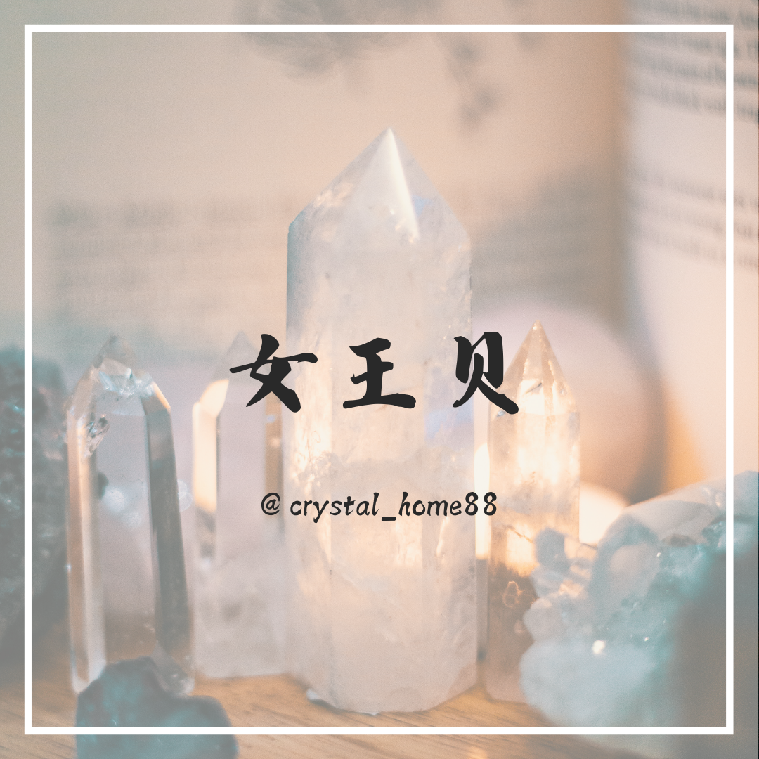 女王贝 Queen Conch – Crystal Home 88
